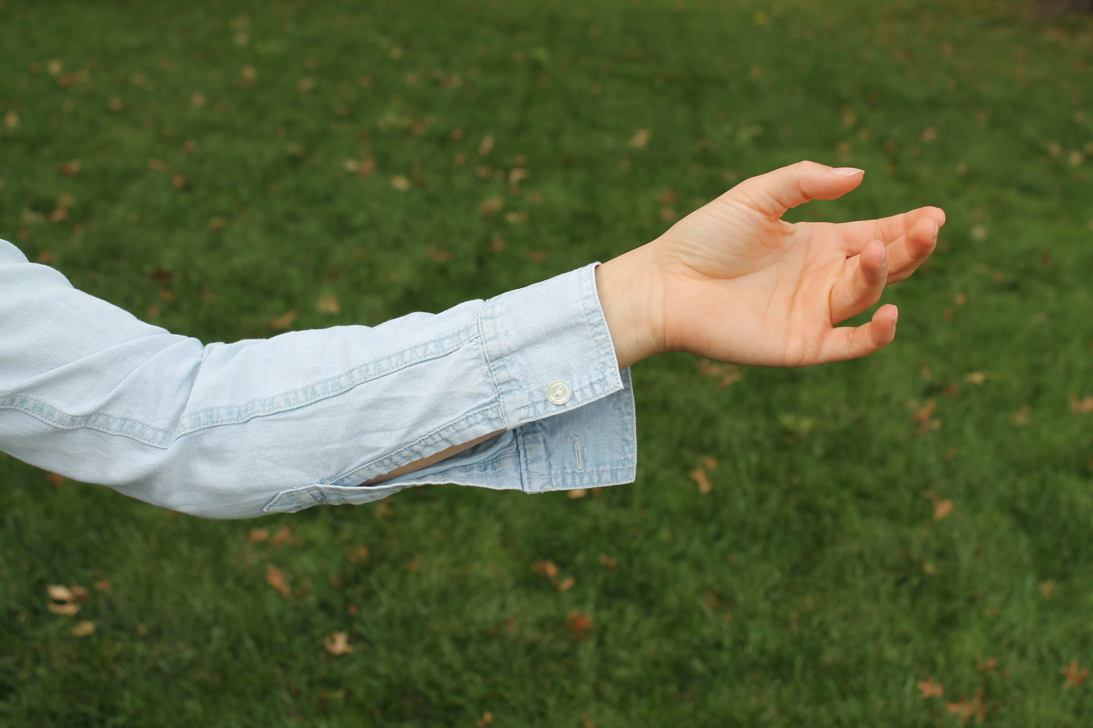 Arm step 1 | The Harbinger Online