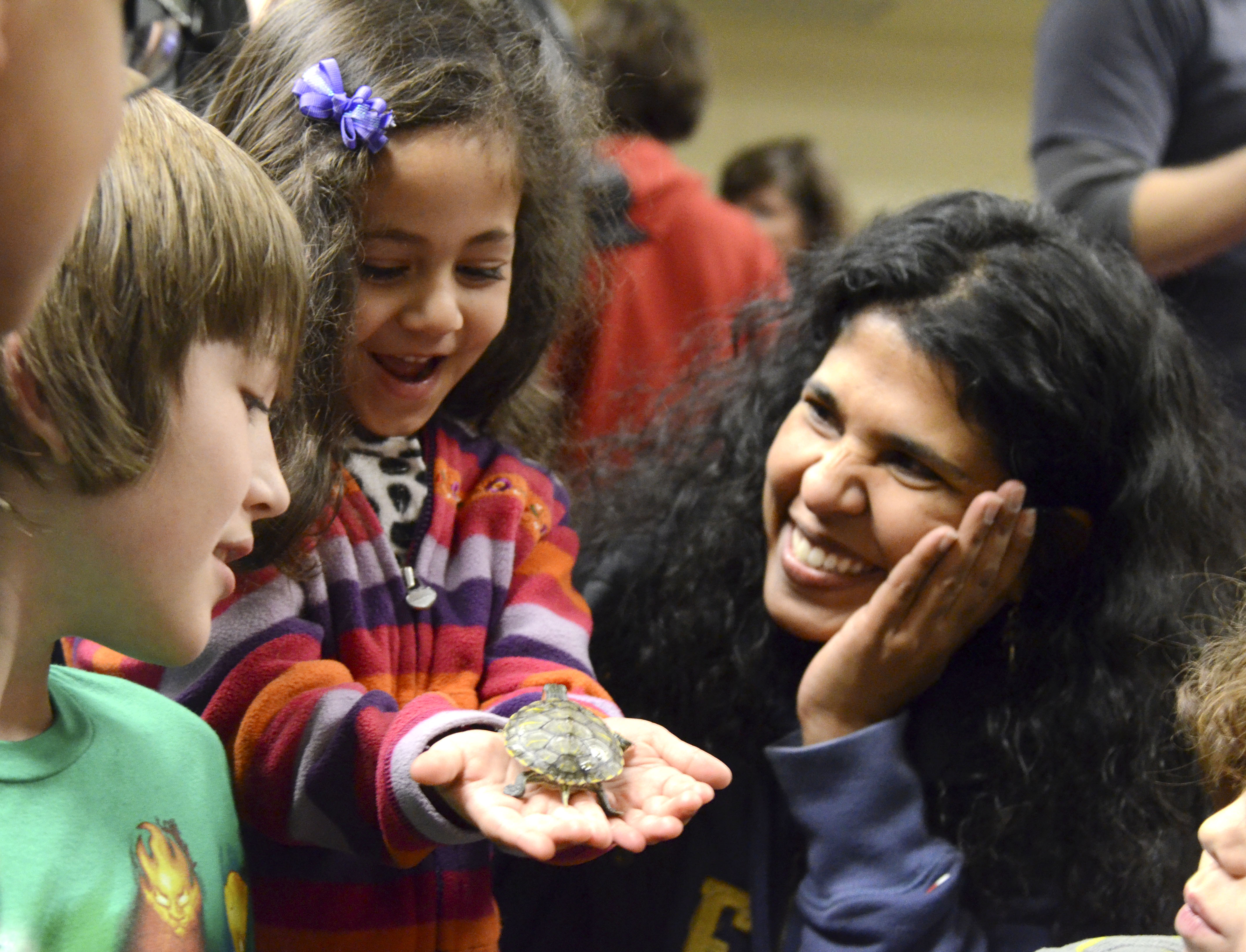 The tiny turtle is adored by the students and teachers. Photo by Annie ...