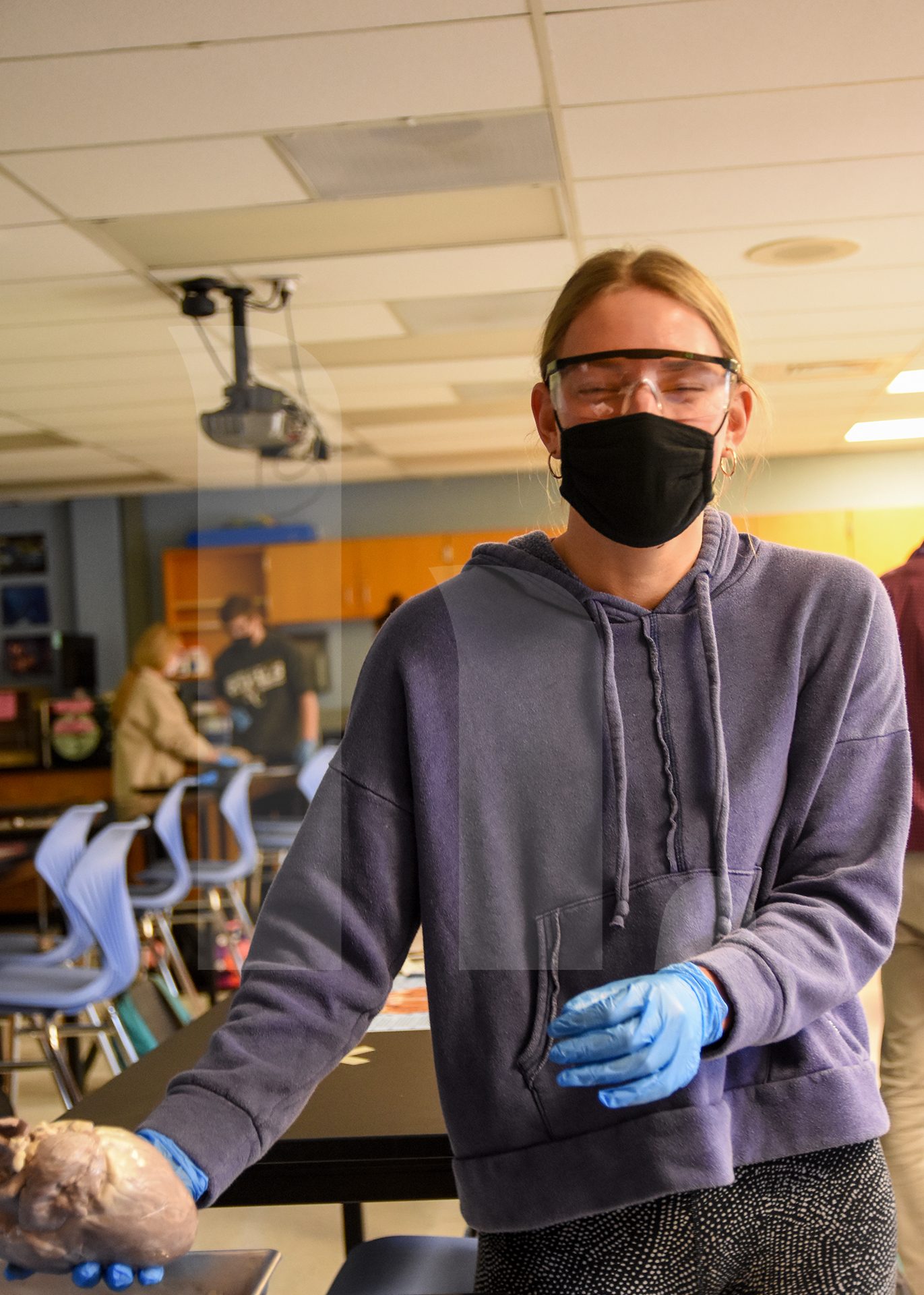 Gallery Anatomy Students Dissect A Pig Heart In Class The Harbinger