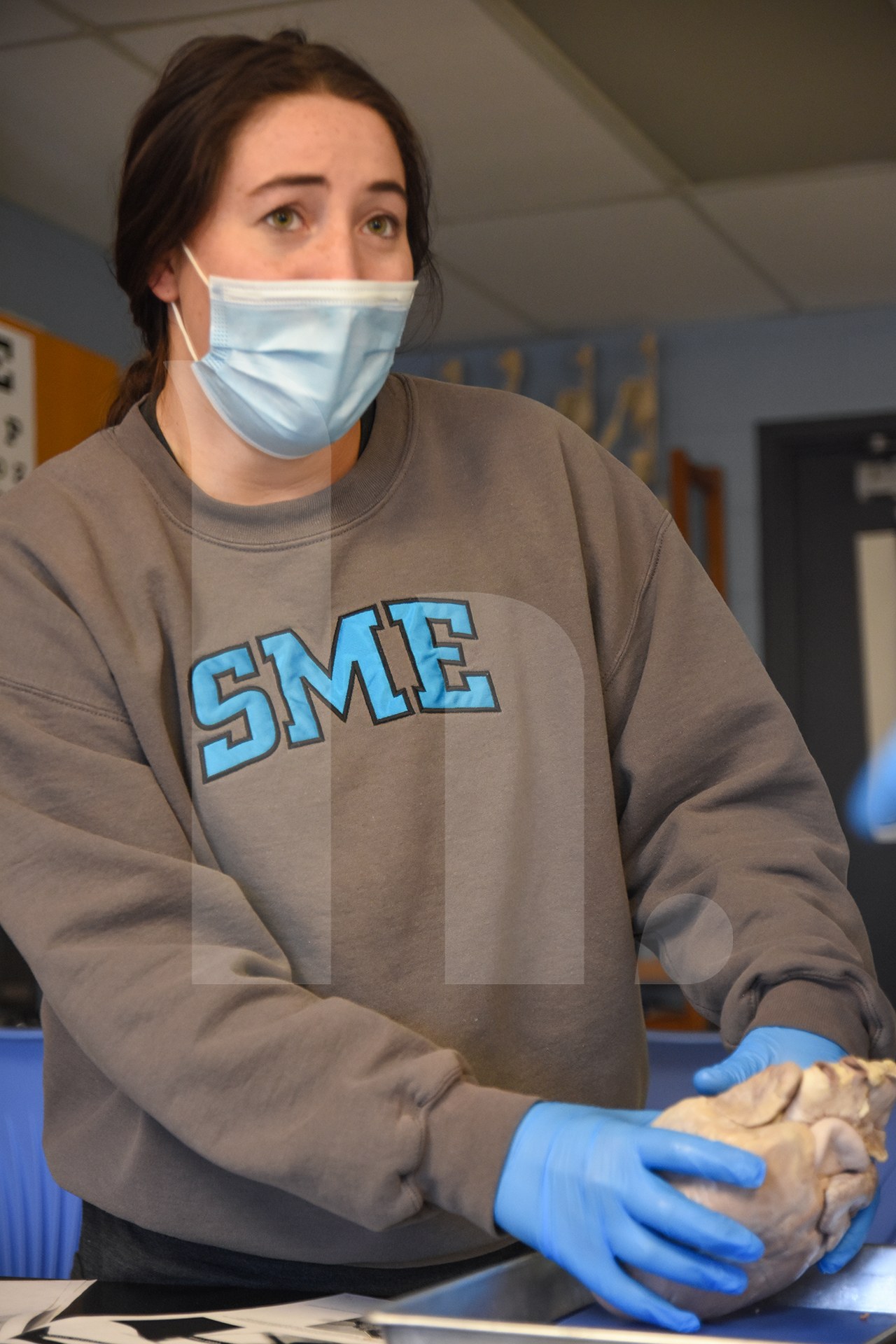 gallery-anatomy-students-dissect-a-pig-heart-in-class-the-harbinger
